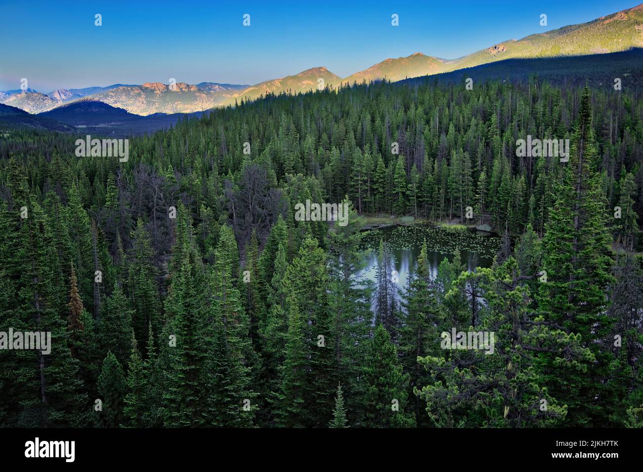 The Nymph Lake through pine trees in Rocky Mountain National Park ...