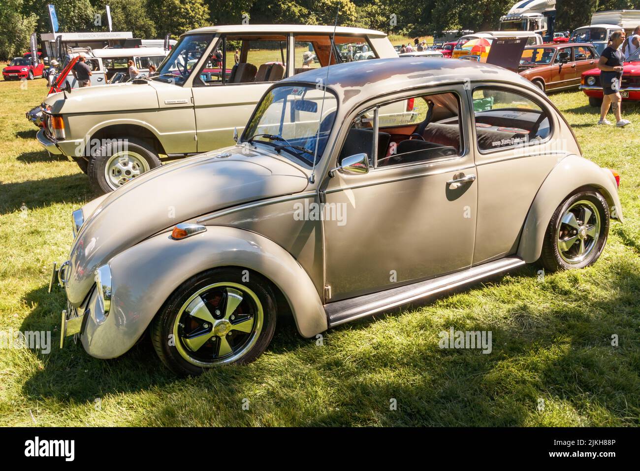 Lowered beetle hi-res stock photography and images - Alamy