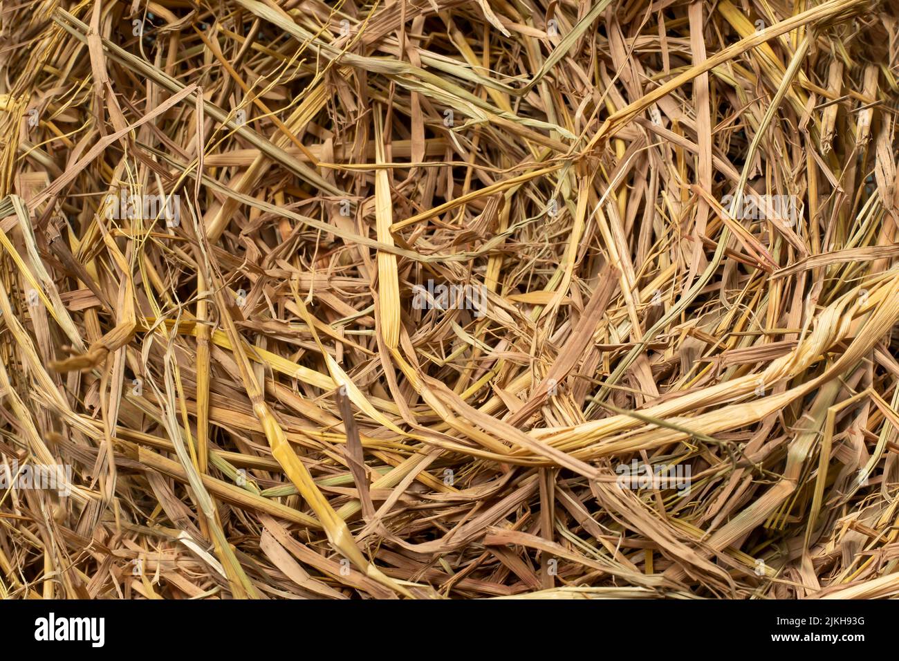 Dried branches texture hi-res stock photography and images - Alamy