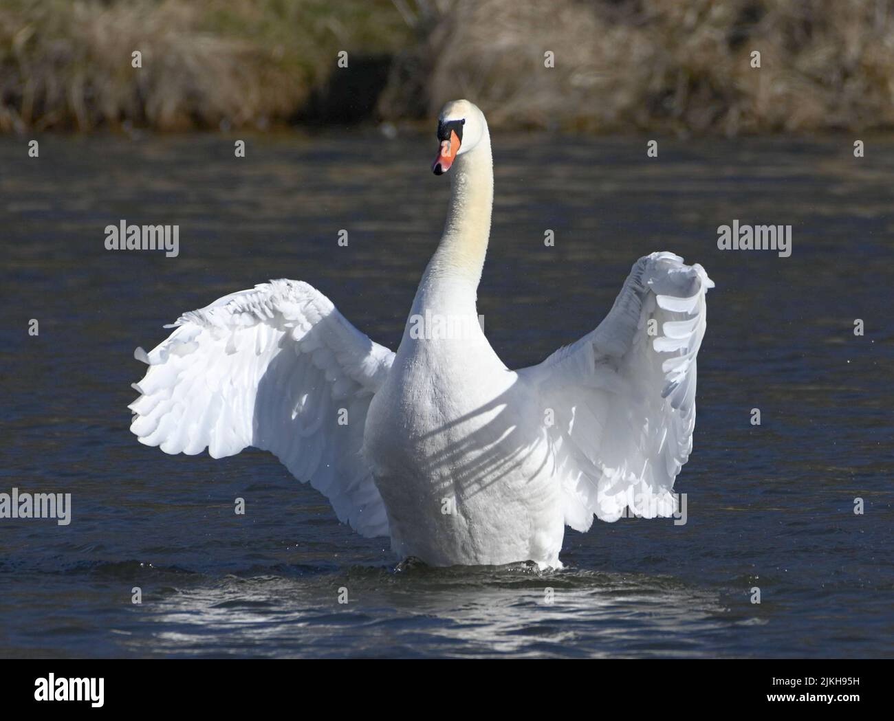 Carmel indiana hi-res stock photography and images - Alamy