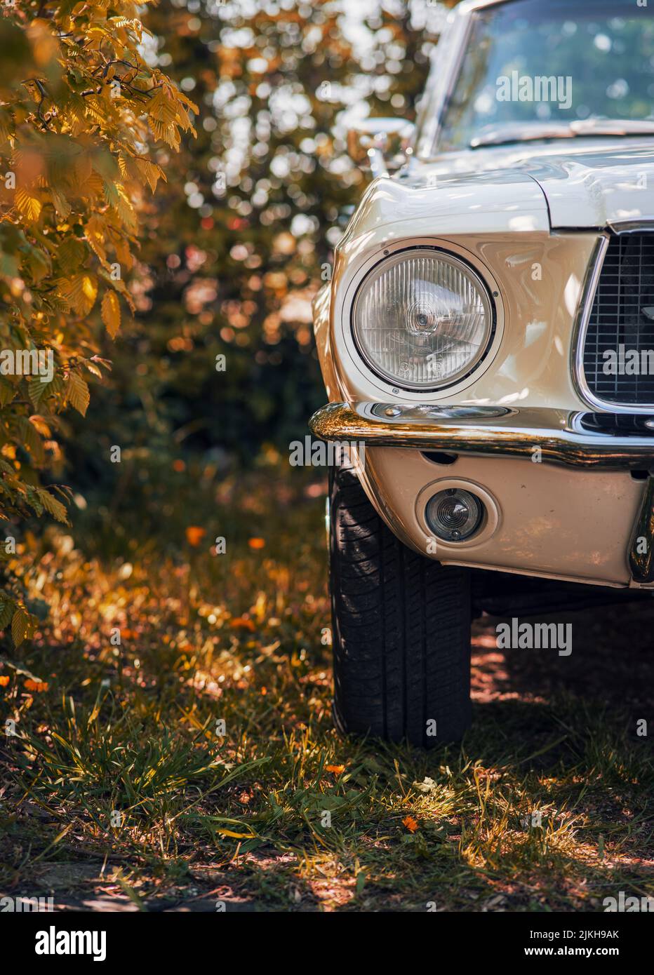 A vertical shot of the left front headlight of a Ford Mustang ...