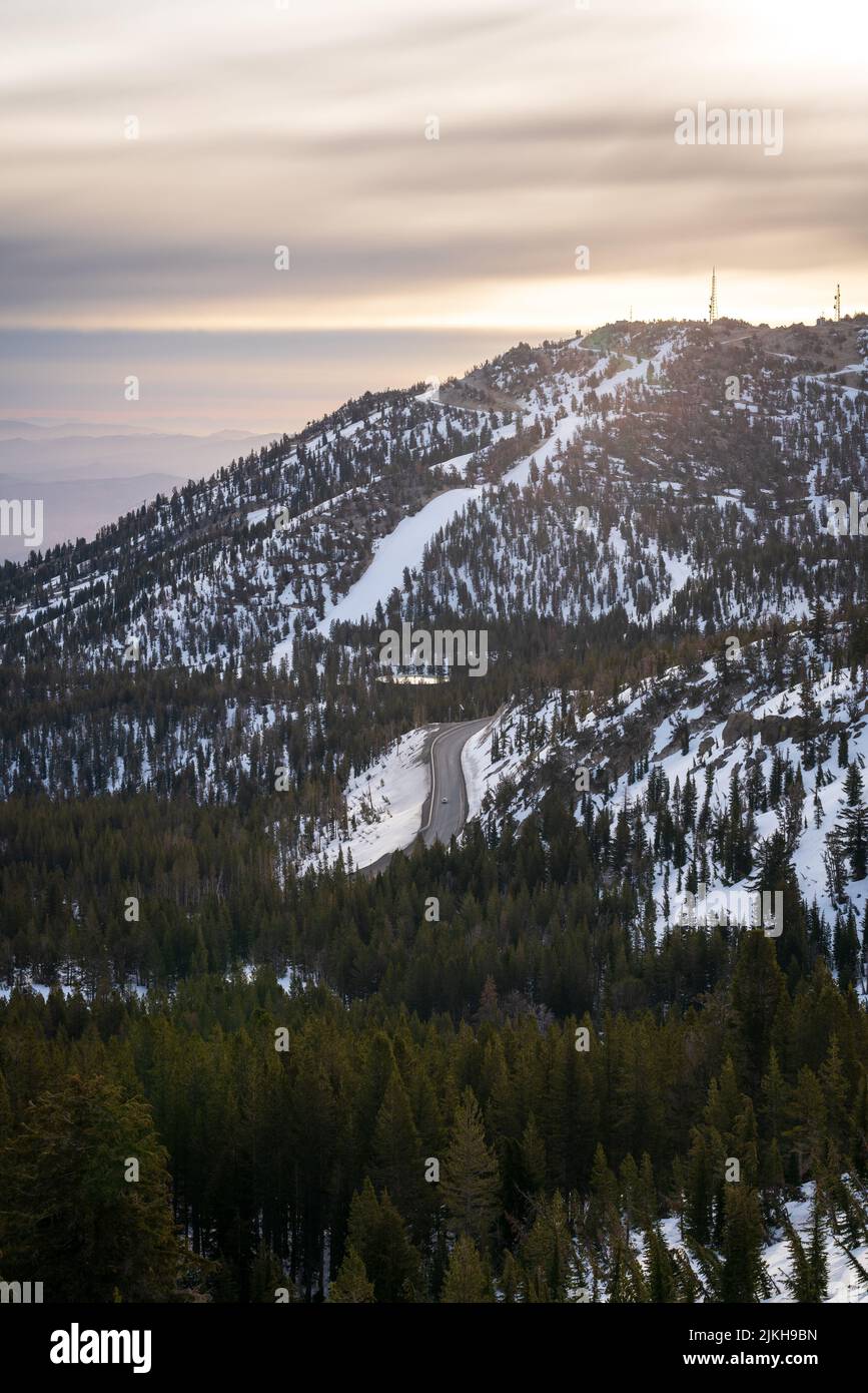 A vertical of Mount Rose Trial covered with pine trees and snow in ...