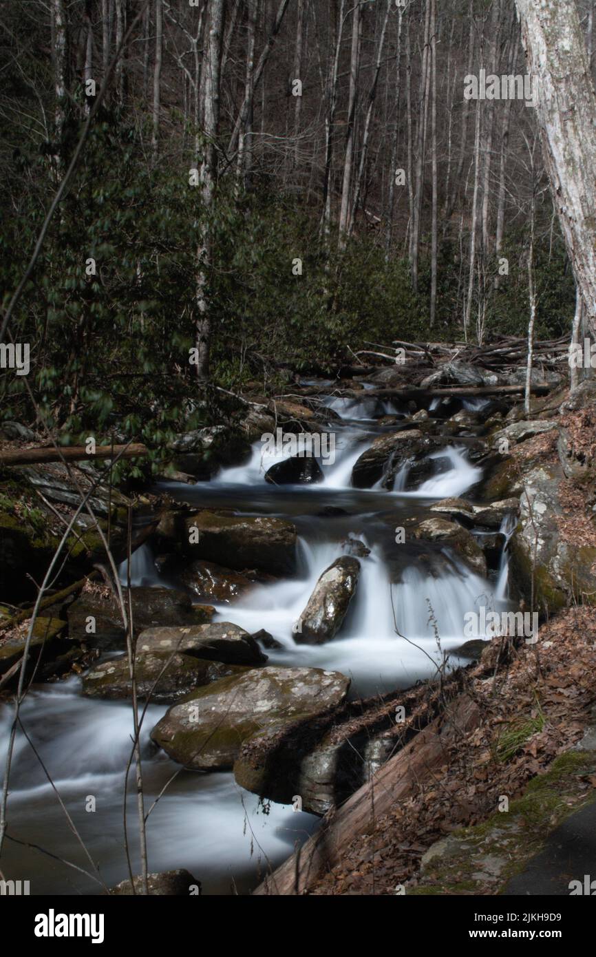A vertical shot of Smith Creek seen from the Anna Ruby Falls Trail ...