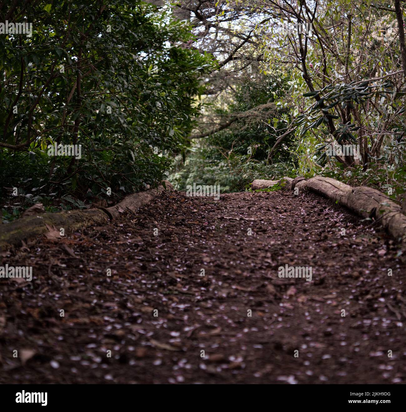 Old pathway hi-res stock photography and images - Alamy