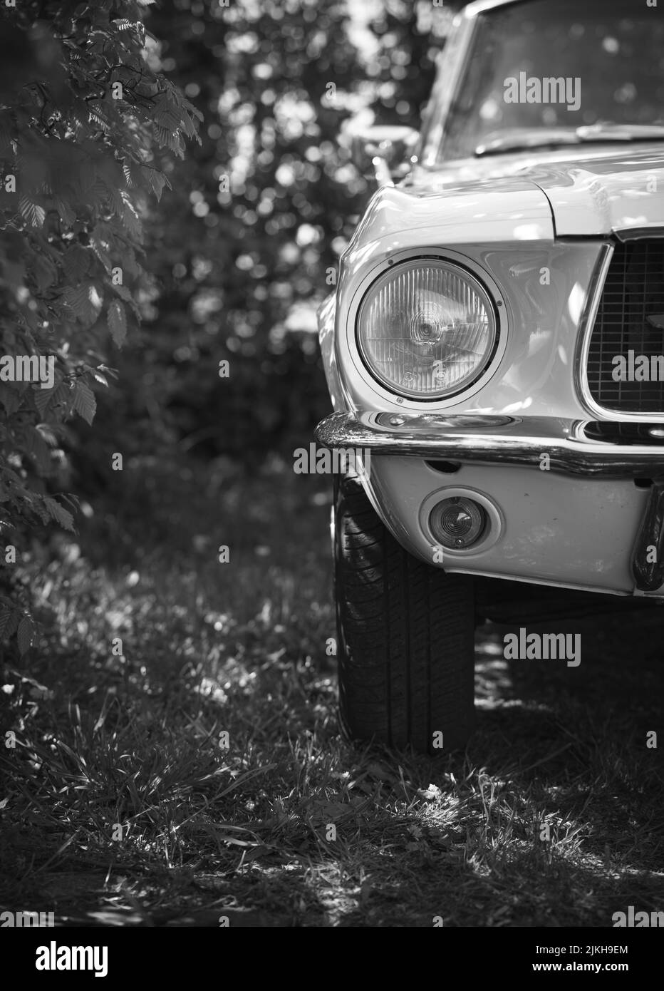 A vertical shot of the left front headlight of a Ford Mustang ...