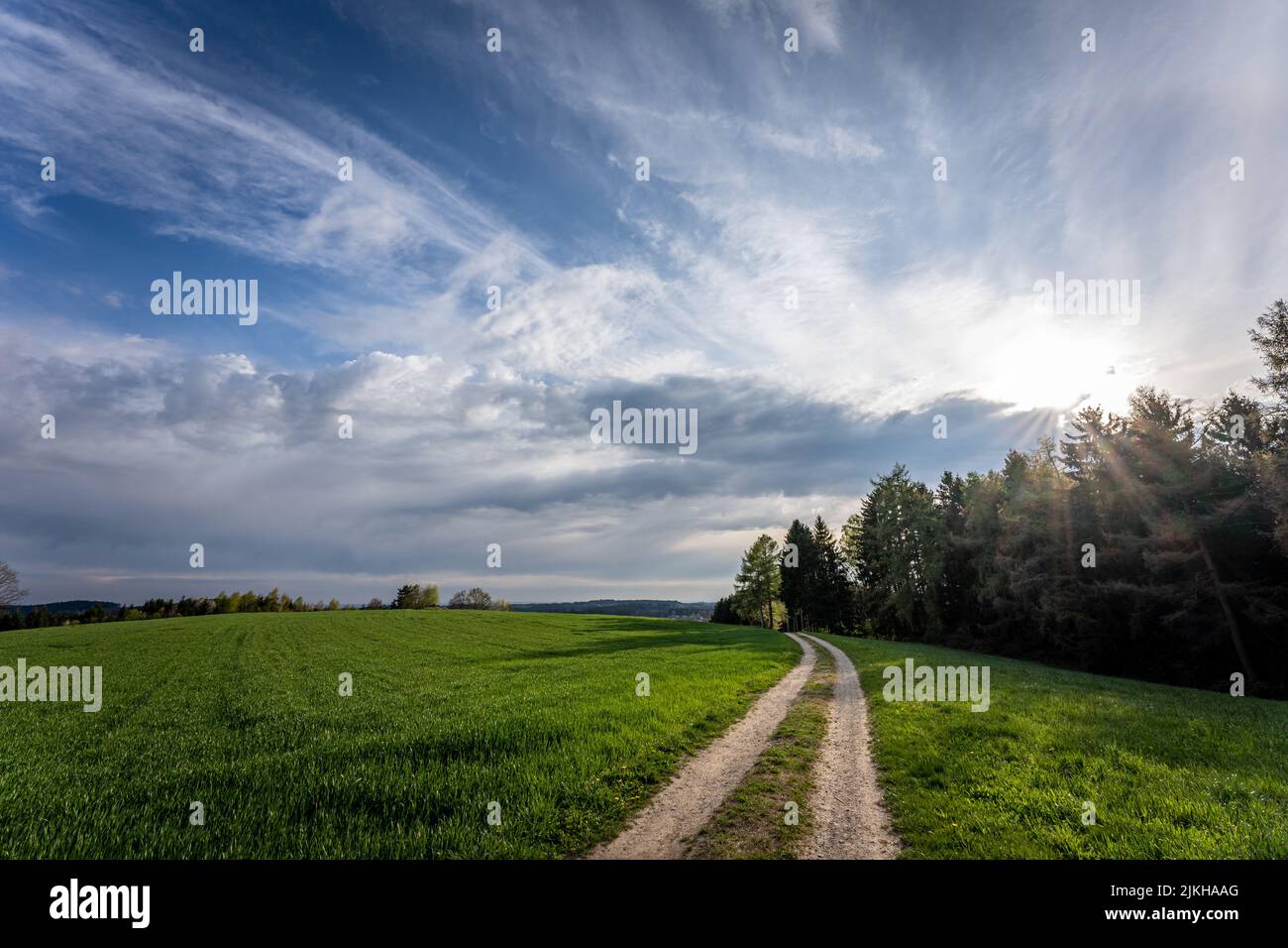 Sunny pathway hi-res stock photography and images - Alamy