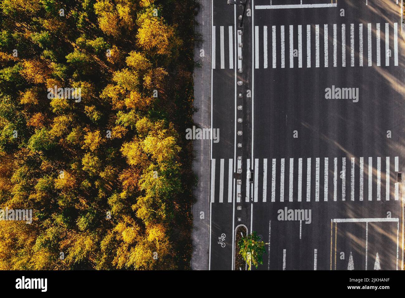 An aerial view of an empty traffic road and a forest with autumn trees ...