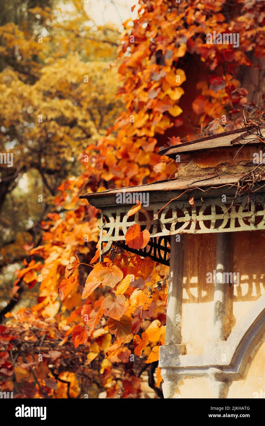 A beautiful view of an old building roof against the background of ...