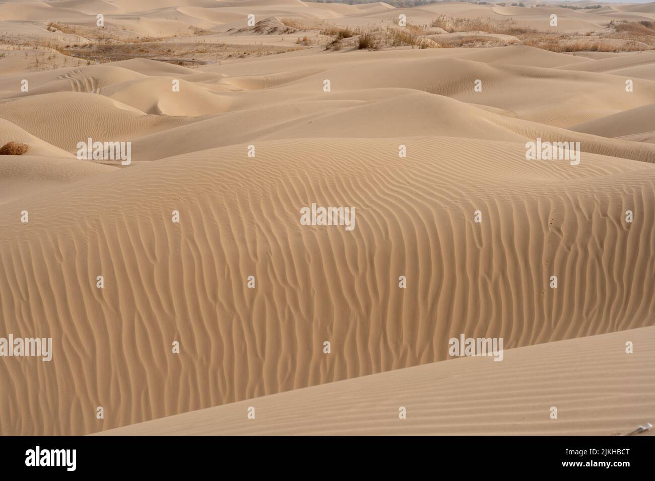Hot desert sand hi-res stock photography and images - Alamy