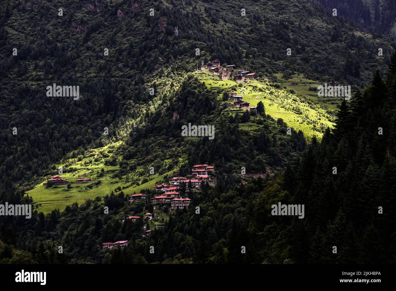 A beautiful green landscape of the Qingha, Tibet Plateau Stock Photo ...