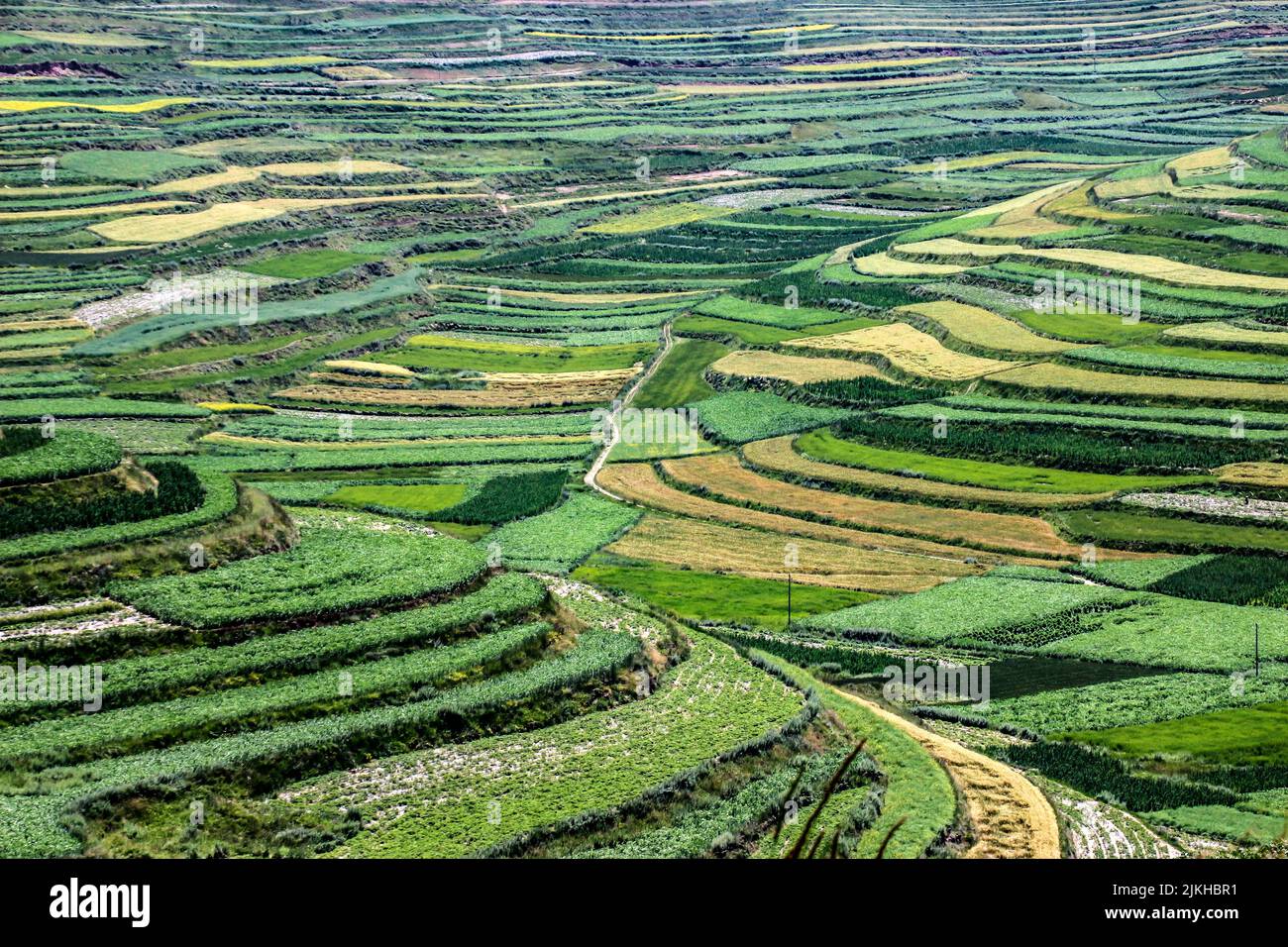 An aerial landscape of Zhuoni Colorful Rice Terraces Stock Photo - Alamy