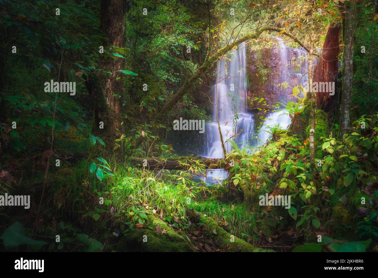 An enchanted forest with waterfalls and sun raise in the woods Stock ...