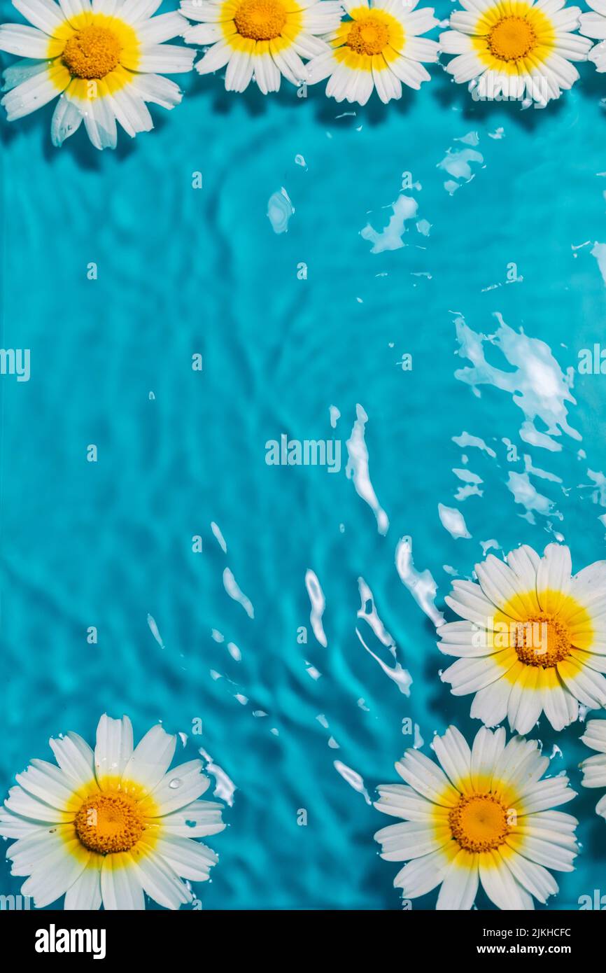 Floating daisies hi-res stock photography and images - Alamy