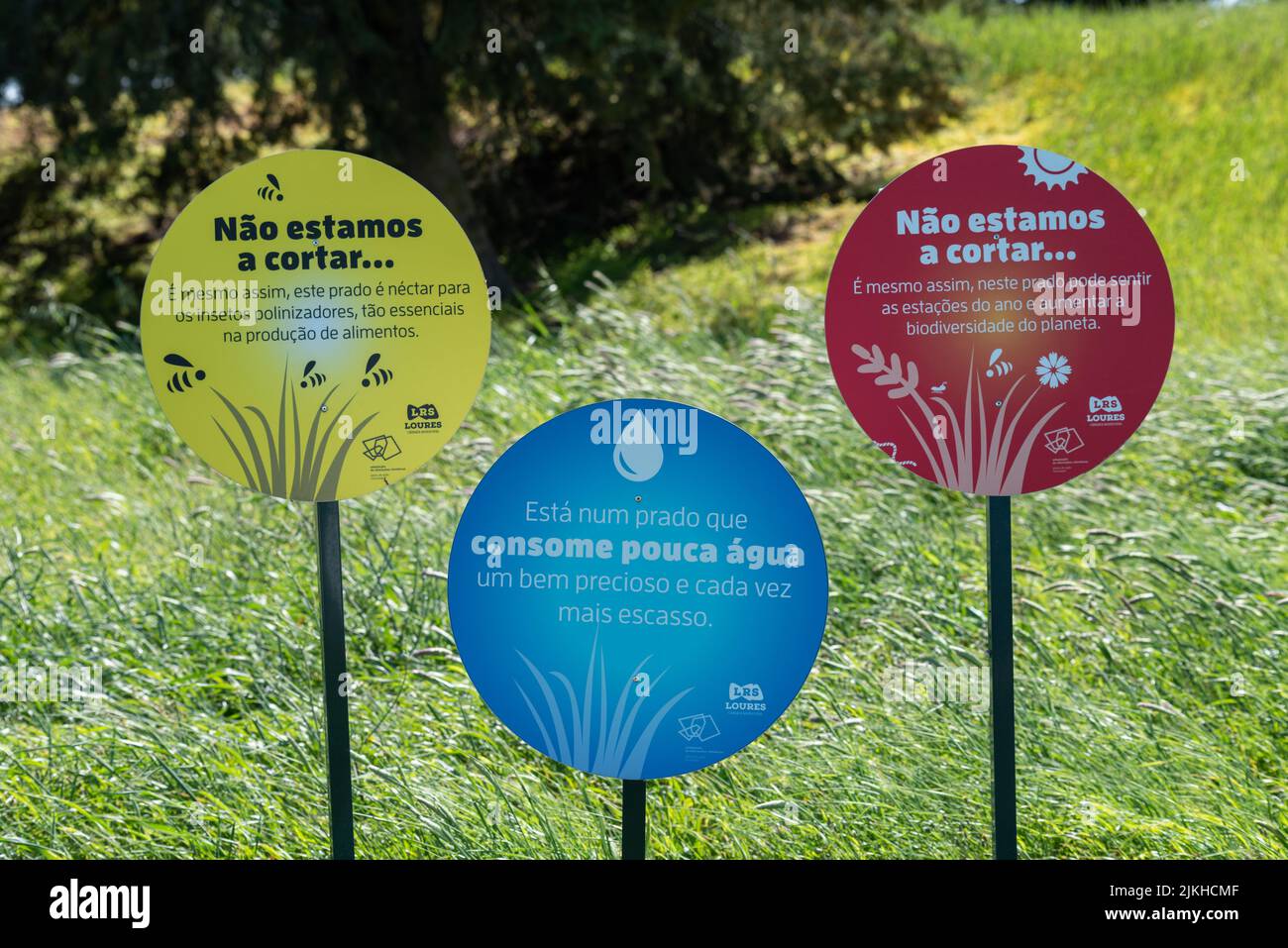 An information about the space where pollinating insects find a food ...