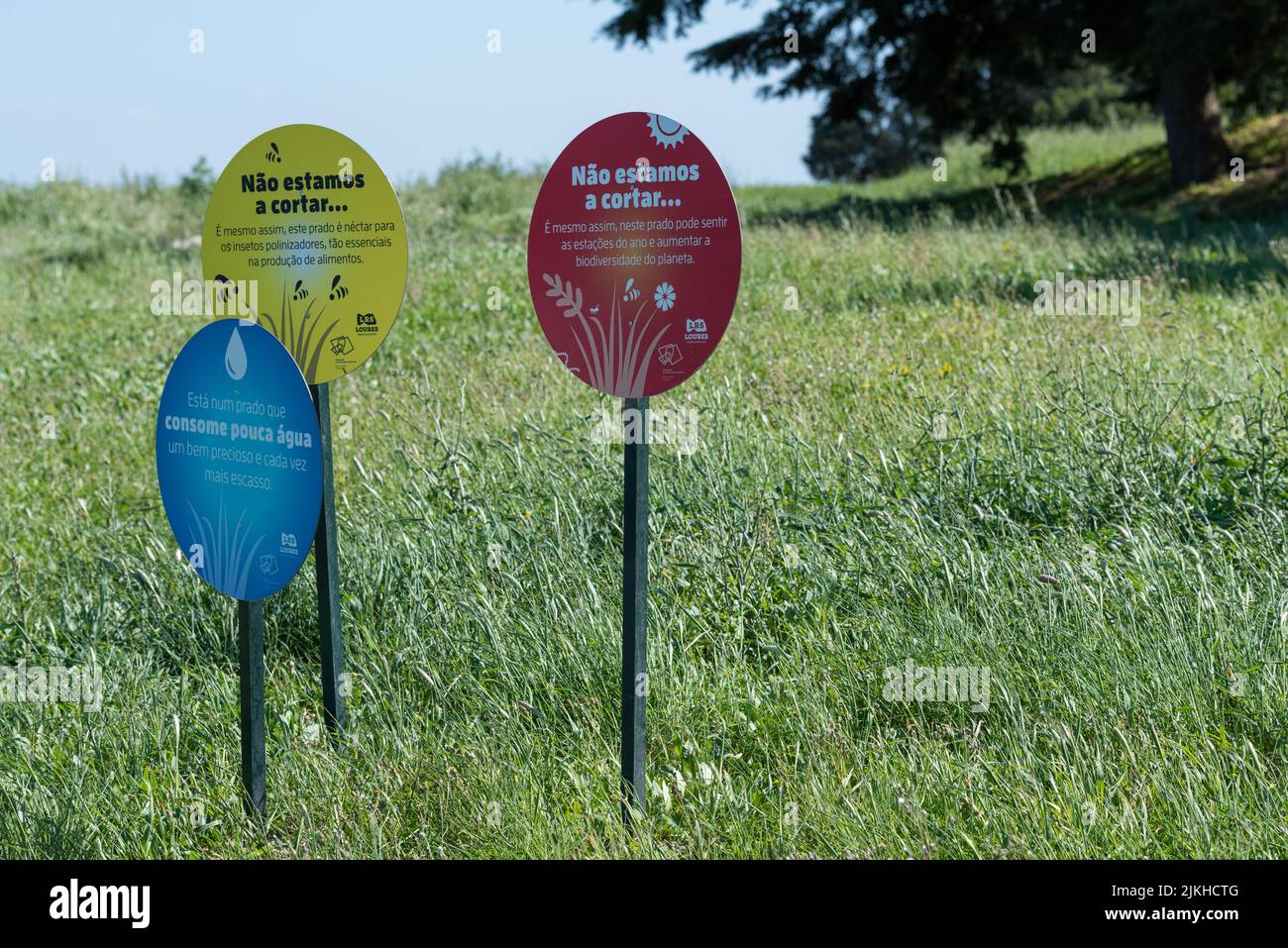 An information about the space where pollinating insects find a food ...