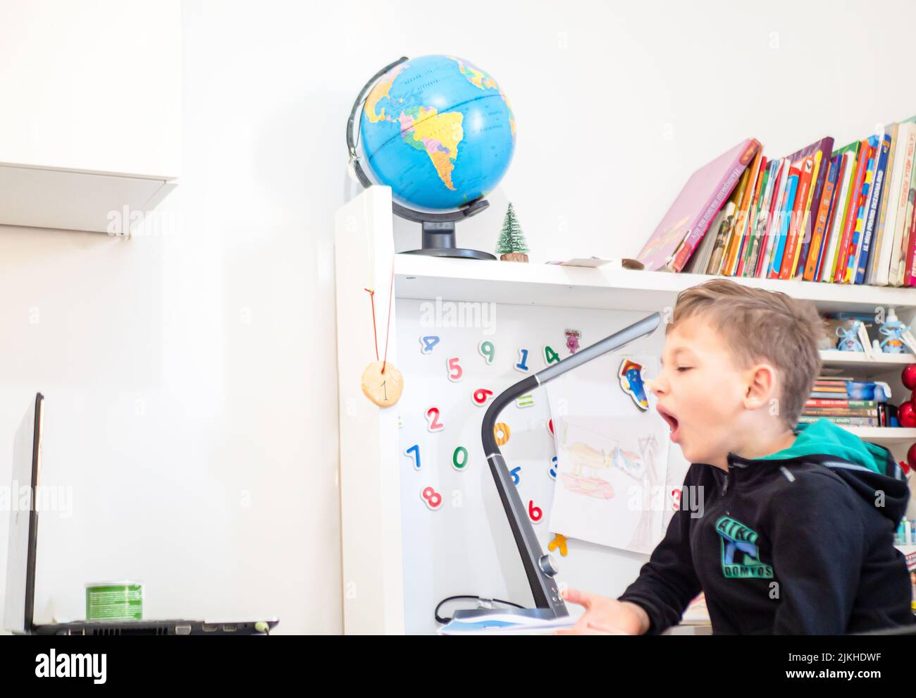 Distance learning online education. The student studies at home and ...