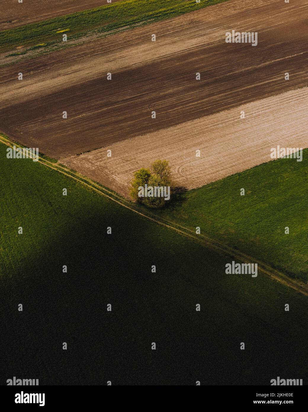 An aerial shot of the large meadows with aligned bushes and a rural ...