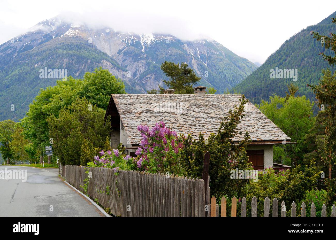 rustic house with lilac in full bloom in front of it in the ancient ...