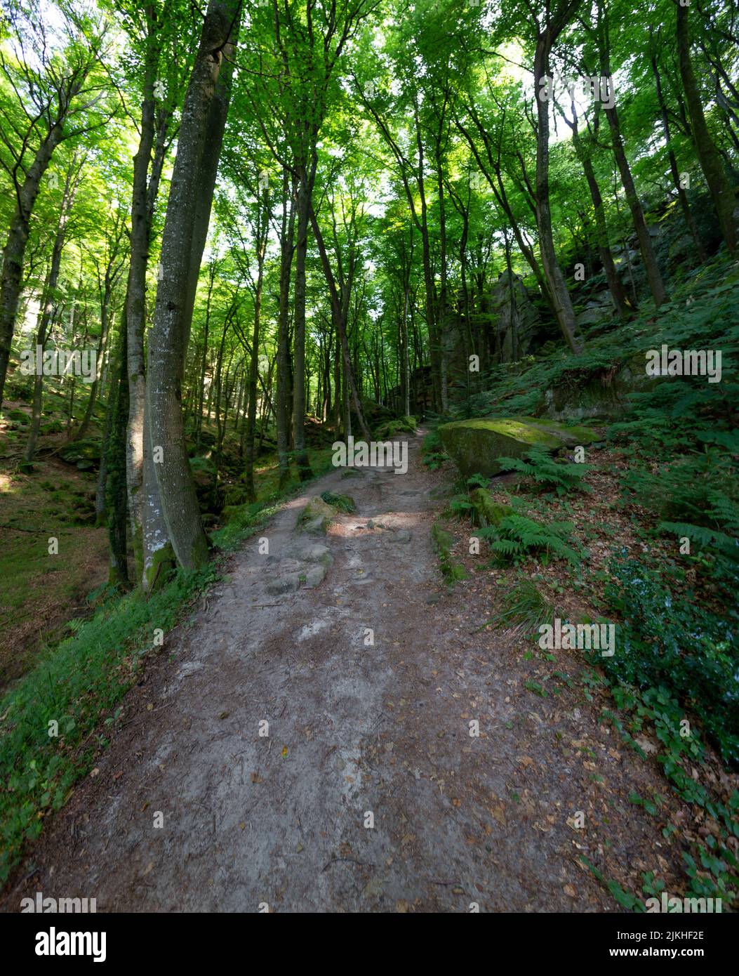 Sunny walkway hi-res stock photography and images - Alamy