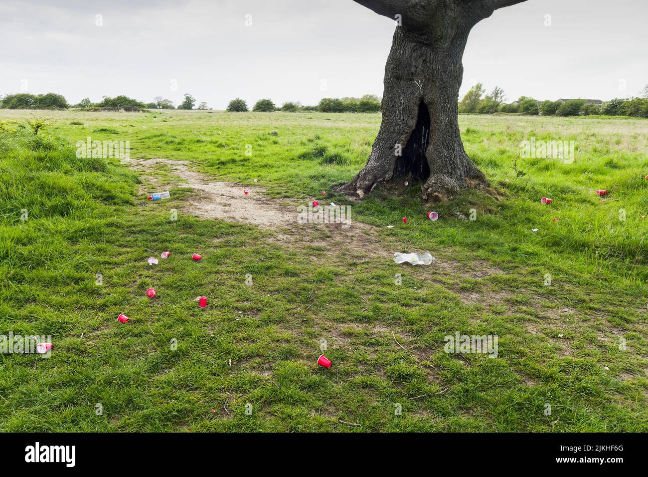 Discarded cartons littering the countryside at Cramlington ...