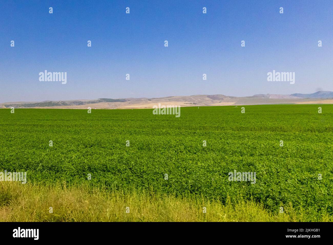 A beautiful scene of a big farm landscape under a cloudless sky Stock ...