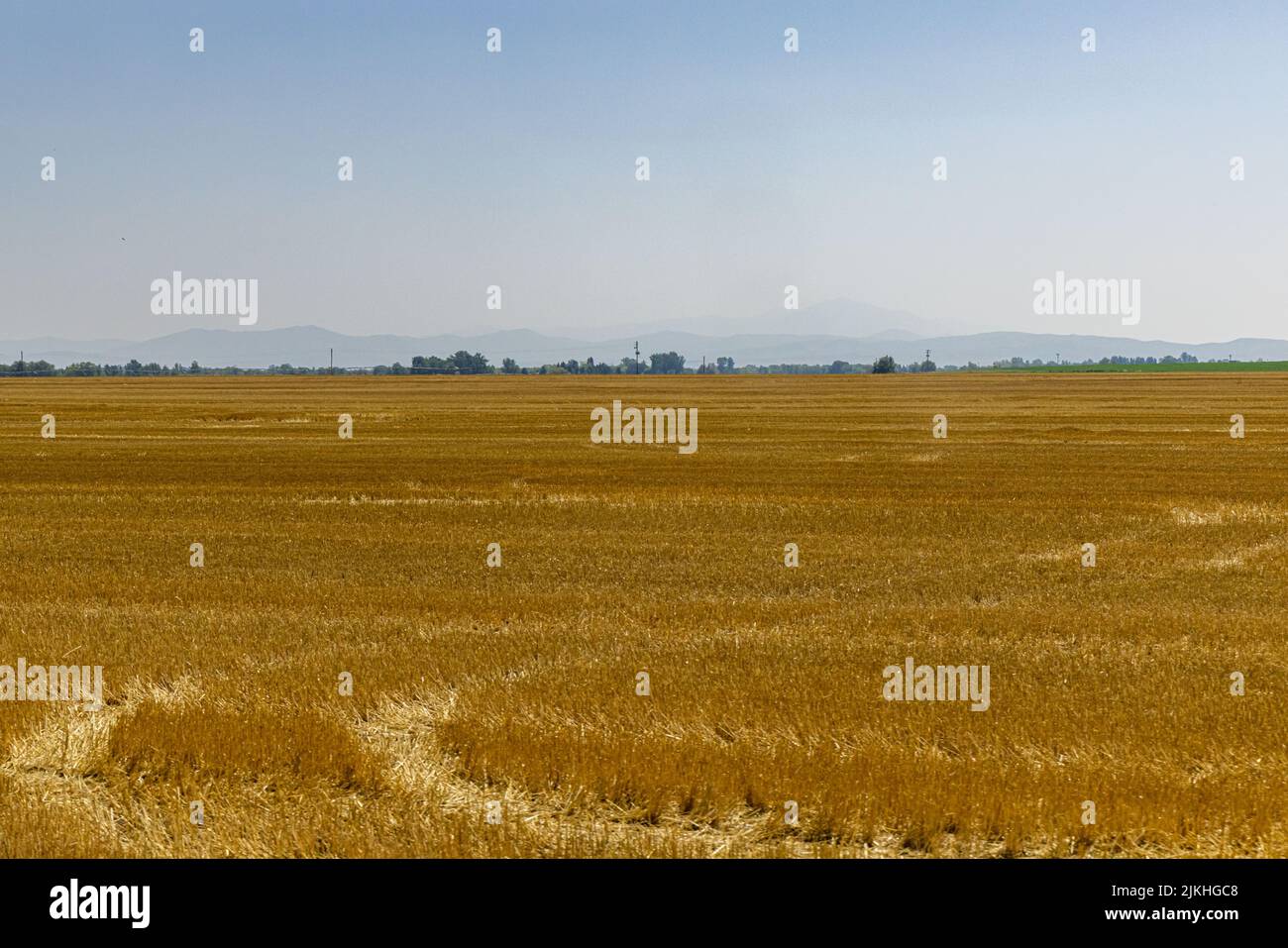 A beautiful scene of a big farm landscape with orange grass under a ...