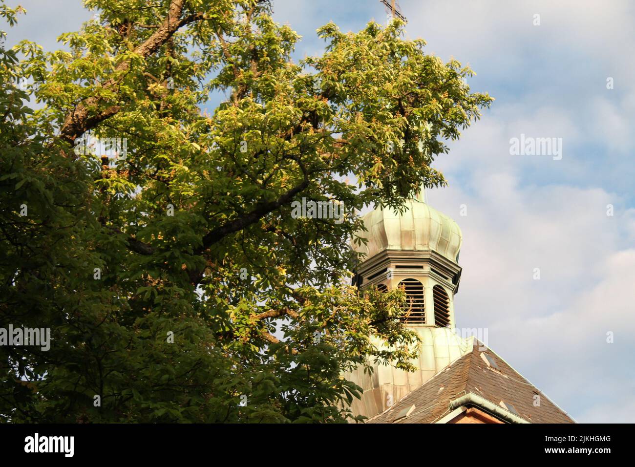 Catholic Church behind a tree Stock Photo - Alamy