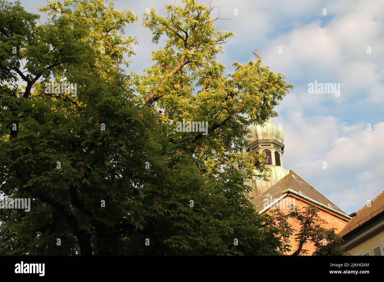Catholic Church behind a tree Stock Photo - Alamy