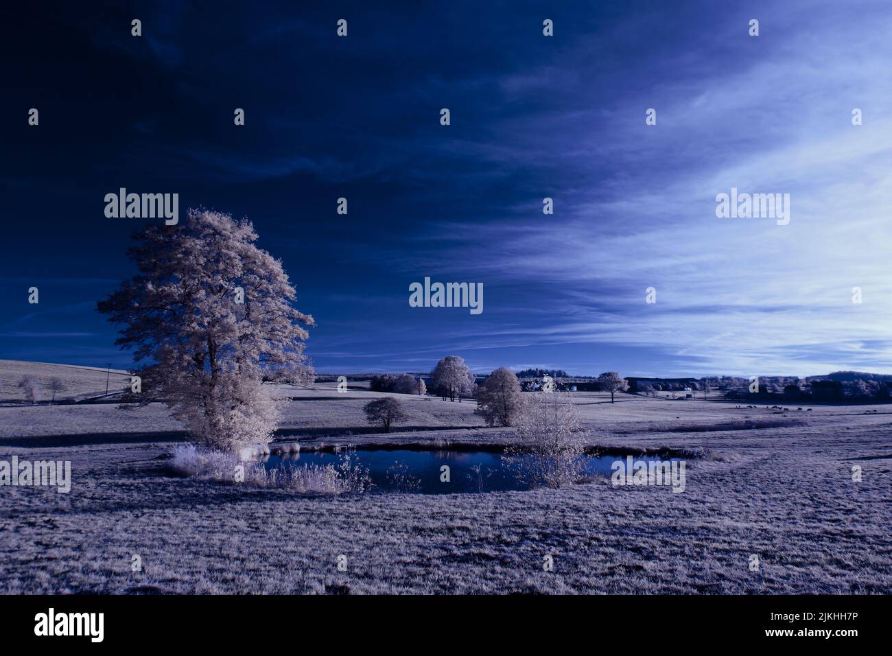 A mesmerizing winter landscape with snow-covered trees and a pond Stock ...