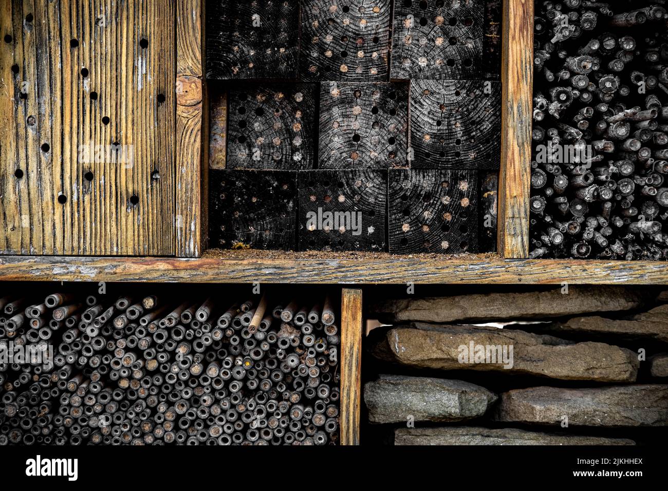 Detail of an insect hotel Stock Photo - Alamy