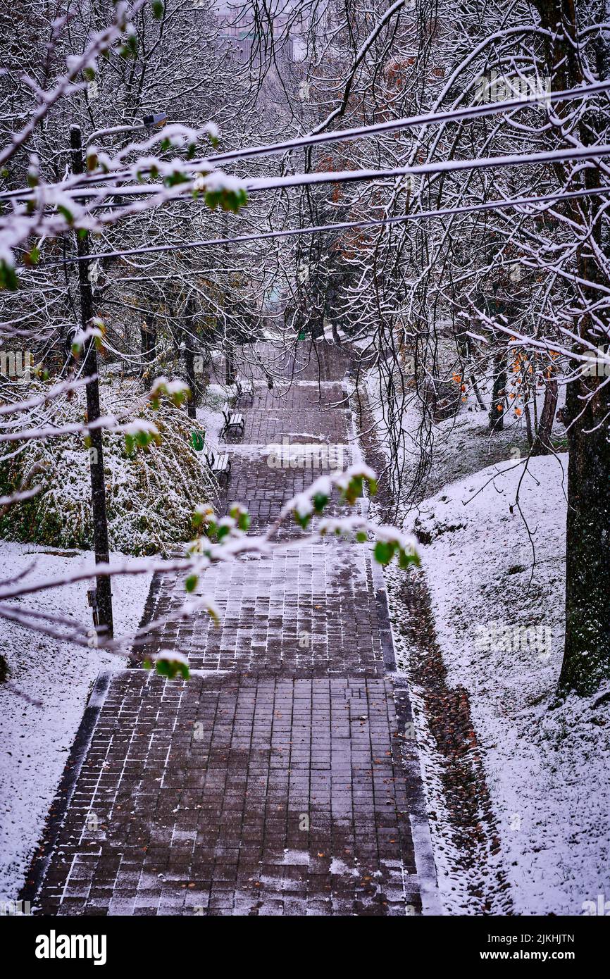 The pathway covered with snow during winter in Cluj, Romania Stock ...