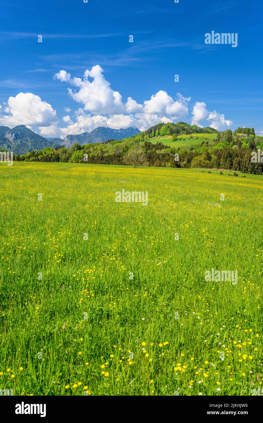 Germany, Bavaria, county Rosenheim, Samerberg, Holzmann, view to ...