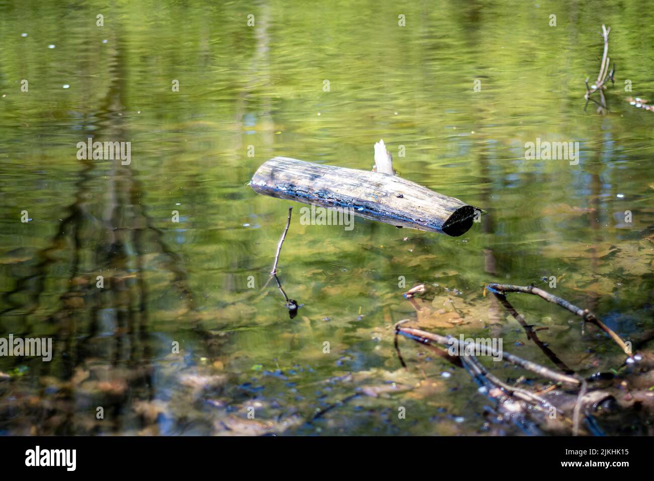 Broken log hi-res stock photography and images - Alamy