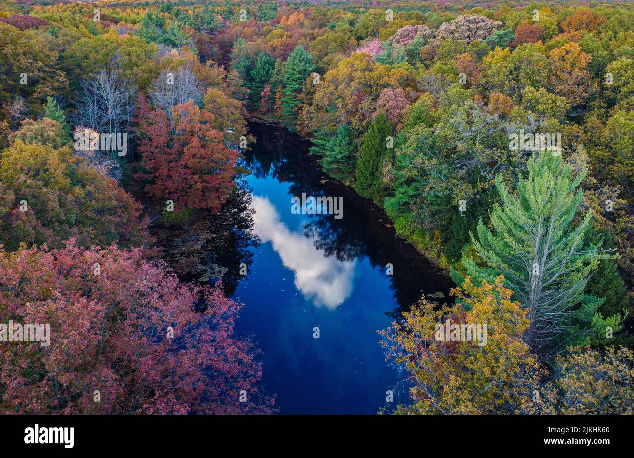 An aerial view of a pond at Clear Springs Nature Preserve in Montague ...