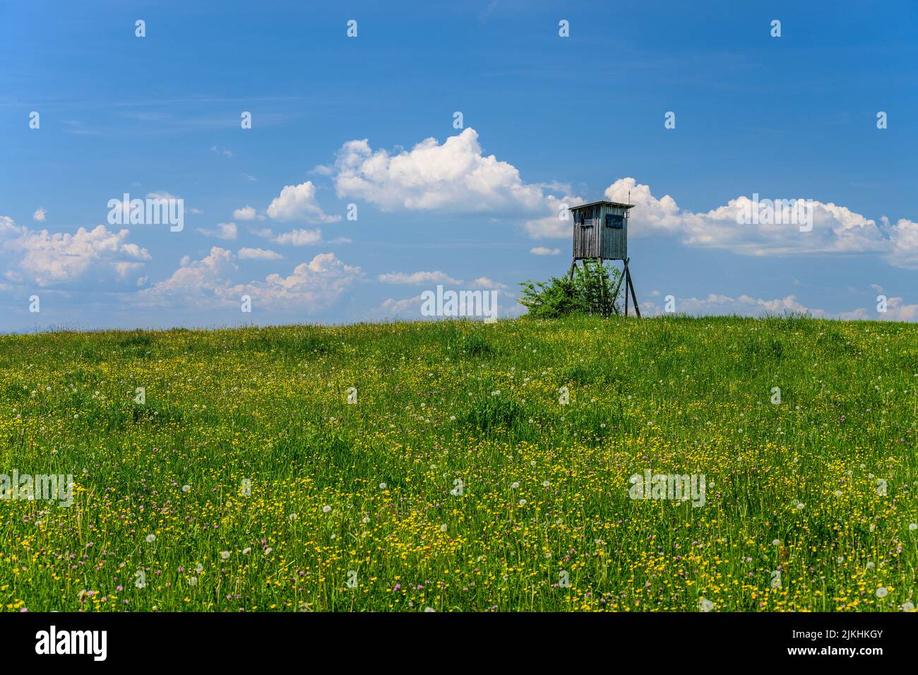 Germany, Bavaria, Starnberg district, Berg, Mörlbach district, spring ...