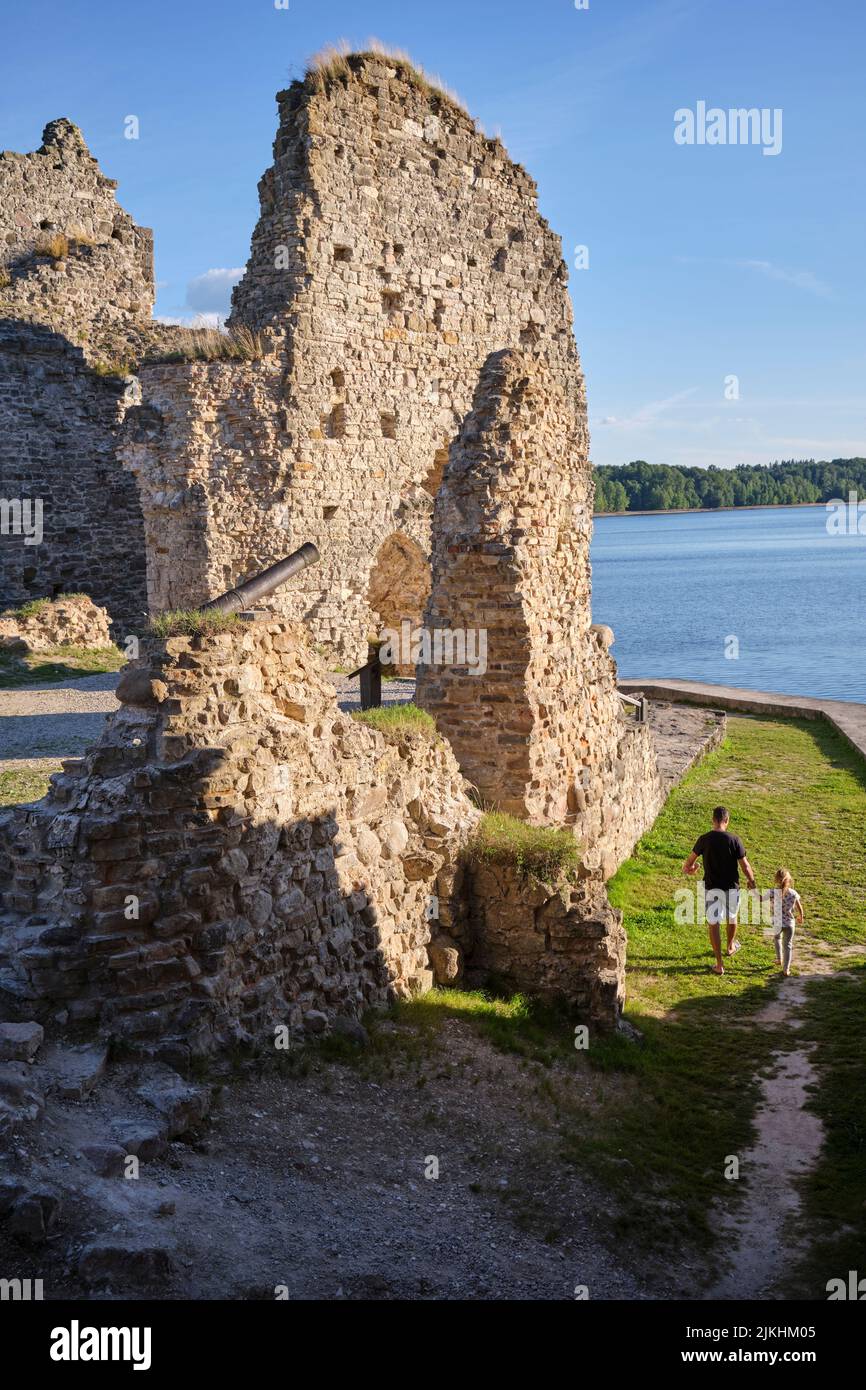 The Koknese medieval castle ruins with few visitors in sunset lights ...