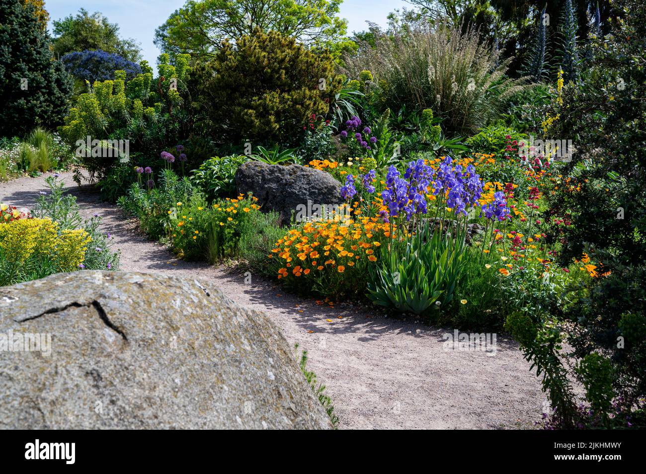 RHS Hyde Hall, Dry Garden, in late spring sunshine. Looking it's ...