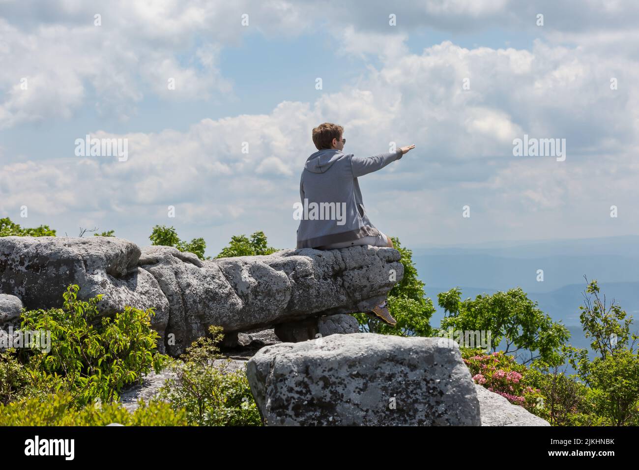Dolly forest hi-res stock photography and images - Alamy