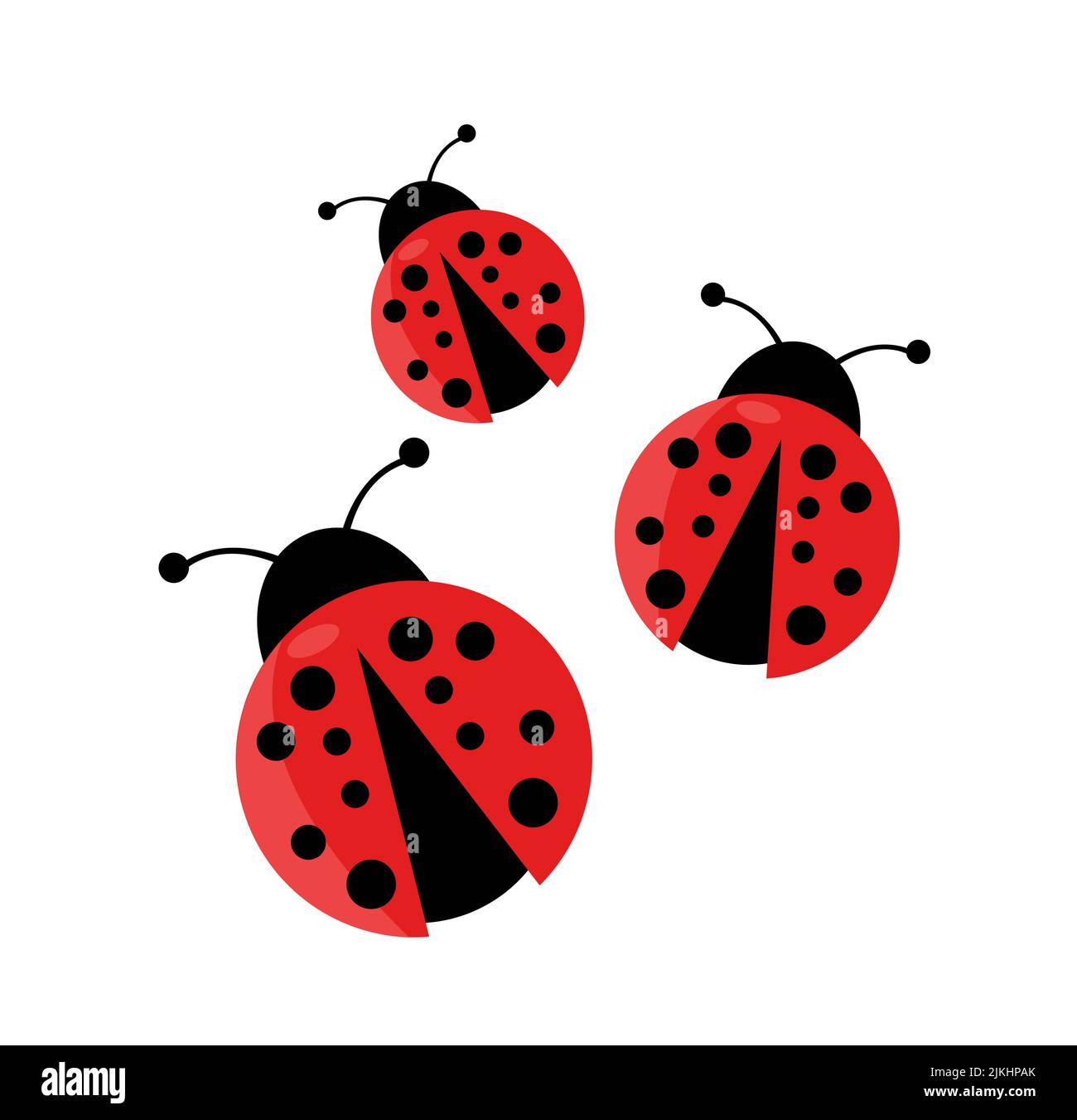 Ladybug vector illustration Stock Vector Image & Art - Alamy