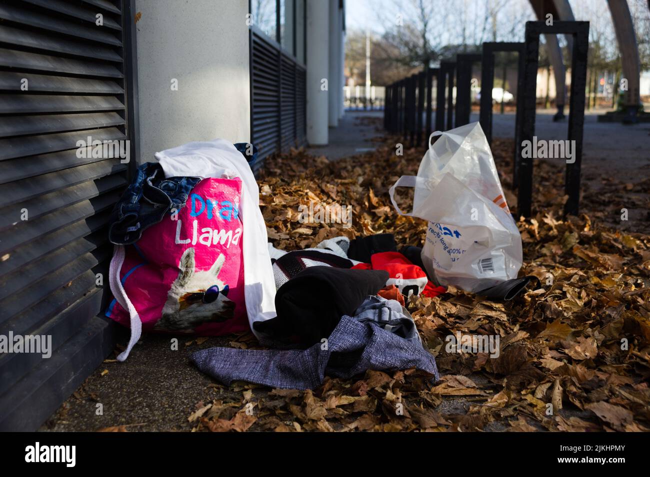 A group of personal items and clothes in bags on a leaf-covered street ...
