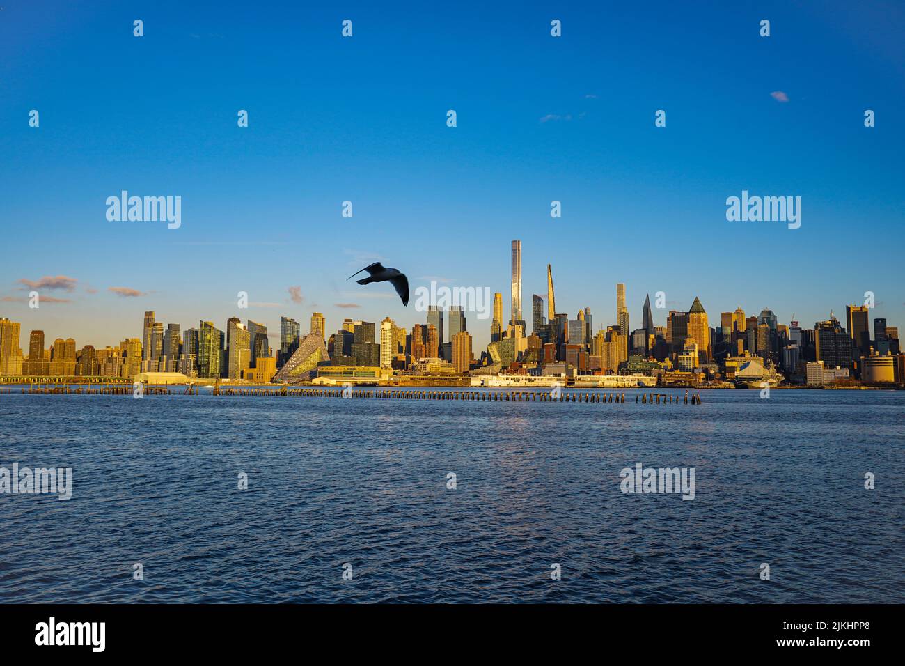 A mesmerizing view of the New York Skyline with tall skyscrapers, a ...