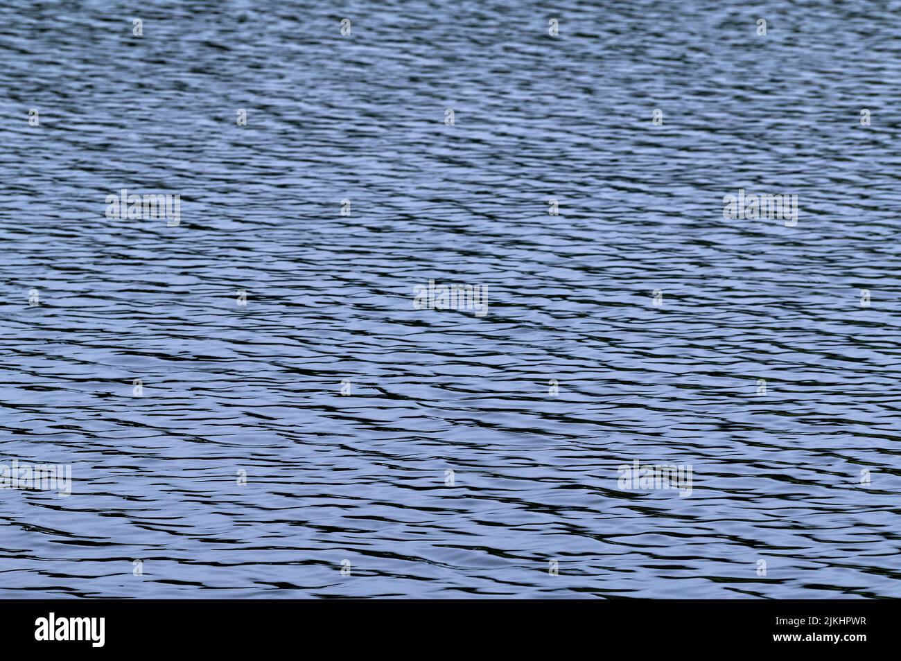 small waves and light reflections on the water surface of a lake ...
