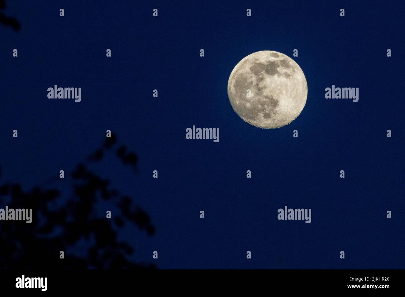 The bright full moon in the night sky Stock Photo - Alamy