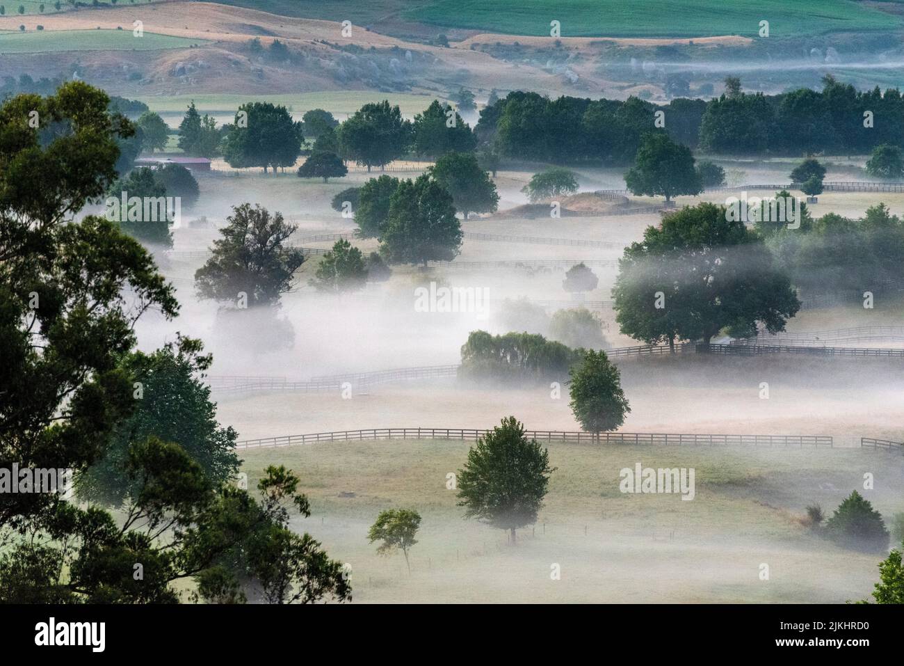 Great pasture landscape in the early morning in Matamata, North Island ...