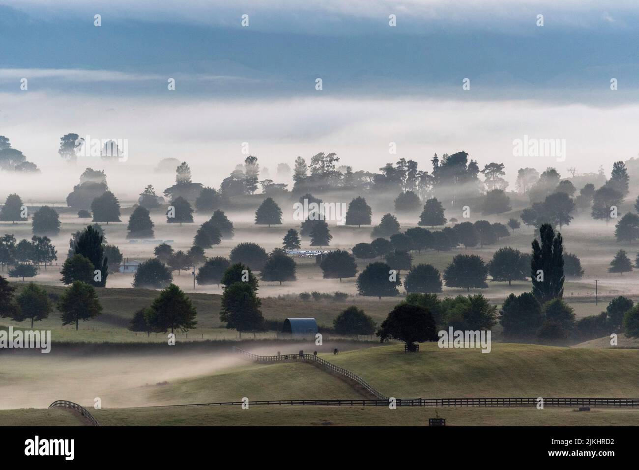 Great pasture landscape in the early morning in Matamata, North Island ...
