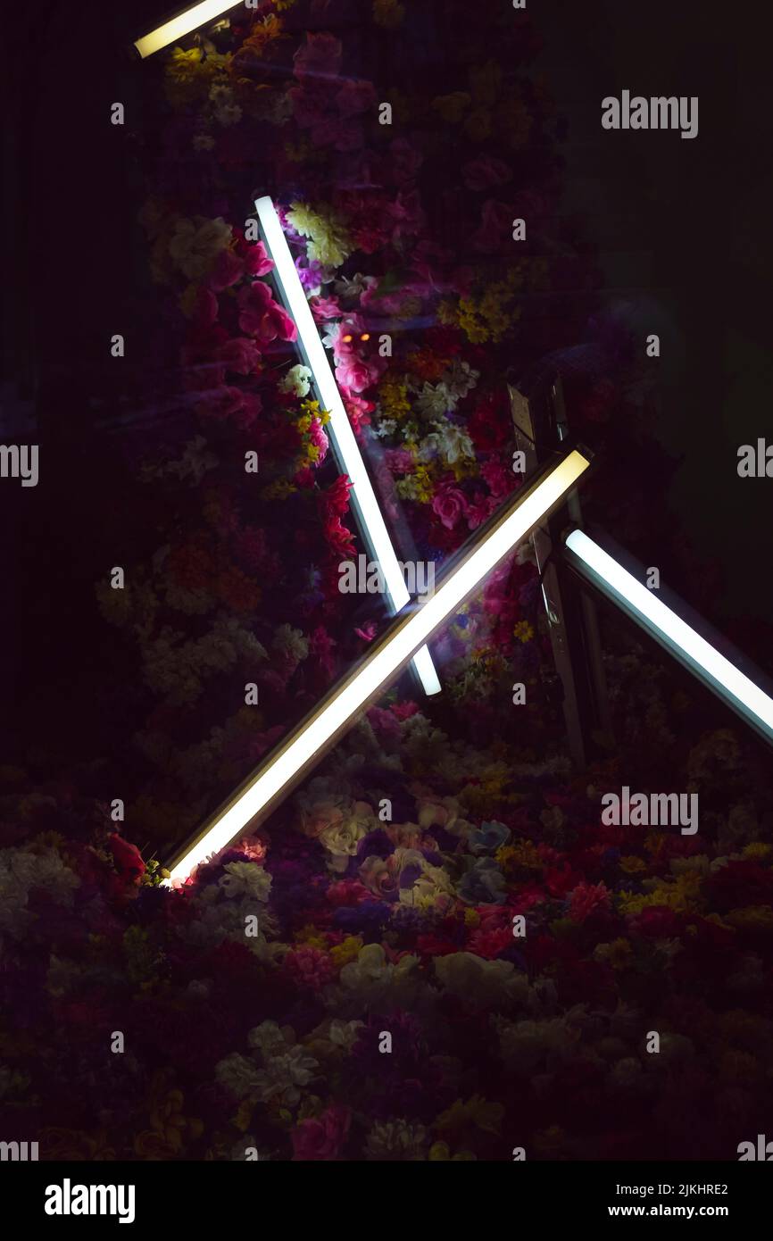 A vertical shot of narrow rectangular LED lights on the floral ...