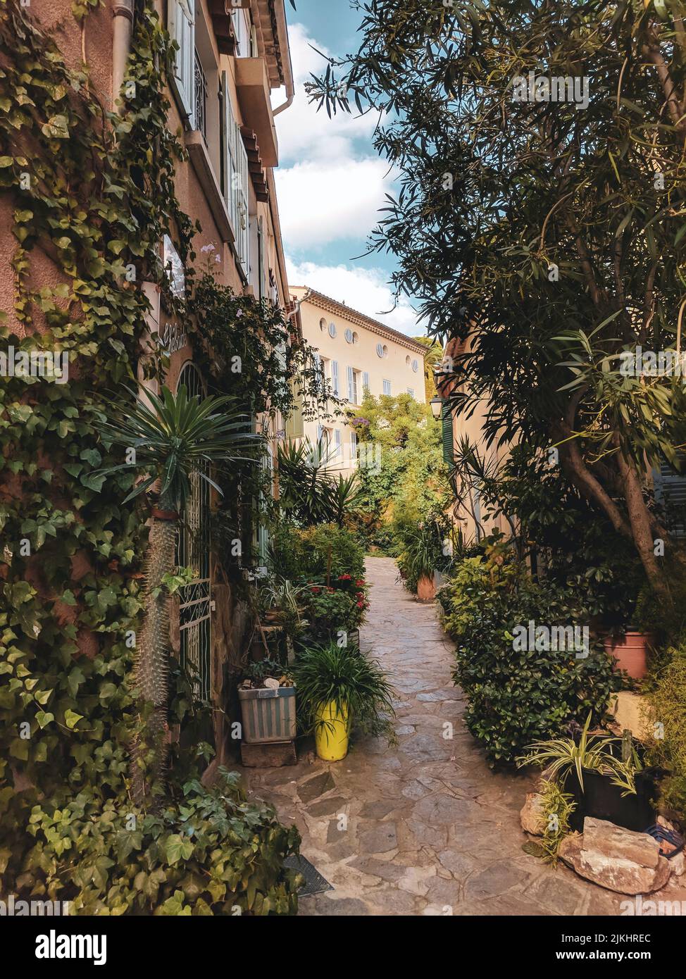 A vertical view of a narrow pathway between buildings and trees Stock ...