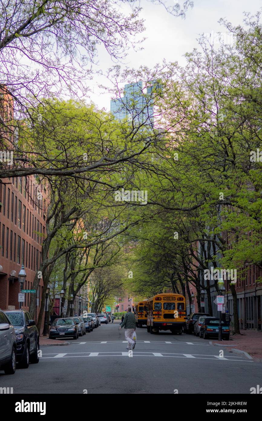 Boston trees hi-res stock photography and images - Alamy