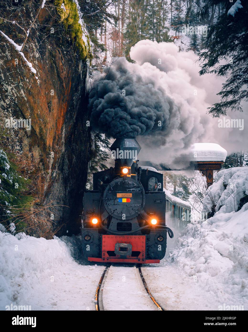 Train with tree hi-res stock photography and images - Alamy