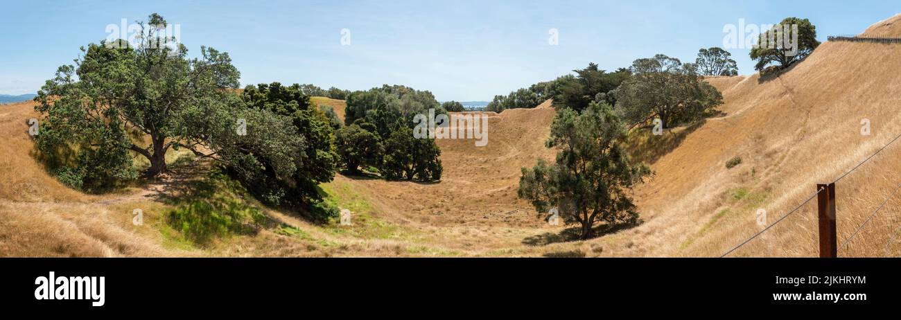 Panoramic view of crater at One Tree Hill in Auckland, New Zealand ...